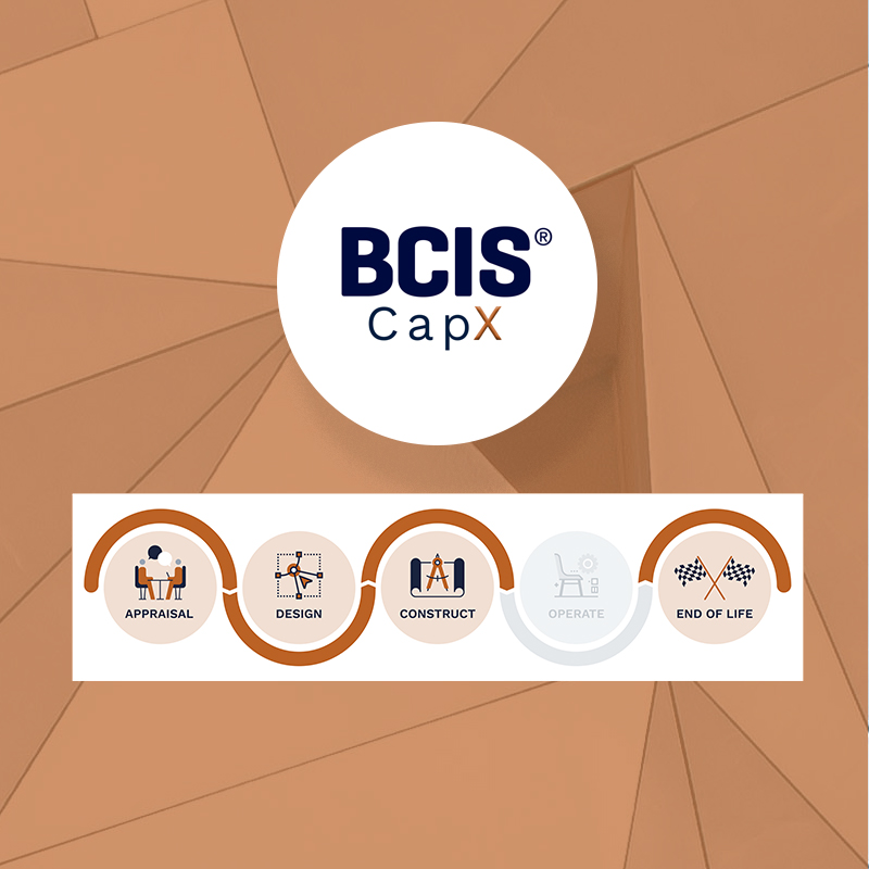 BCIS CapX - BCIS